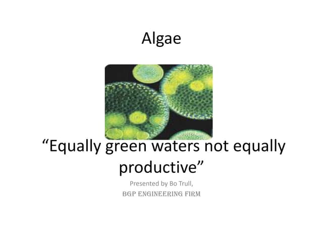 Carbon Dioxide Fertilization | PPT