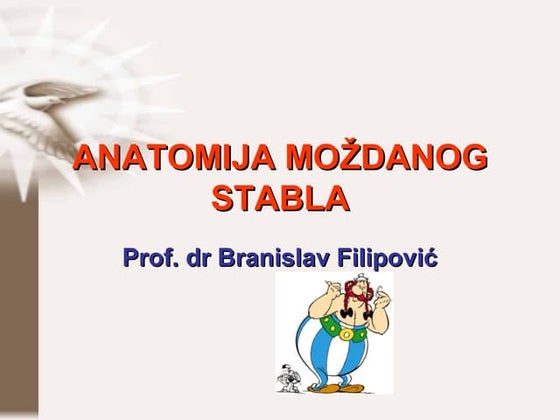 Централни нервни систем | PDF