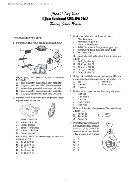 Latihan soal ujian nasional matematika sd | PDF