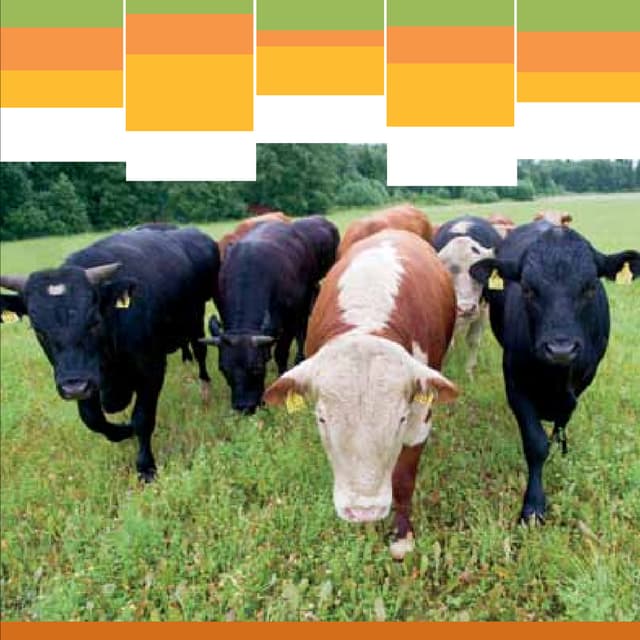 Eesti kalandus 2014 | PPTX