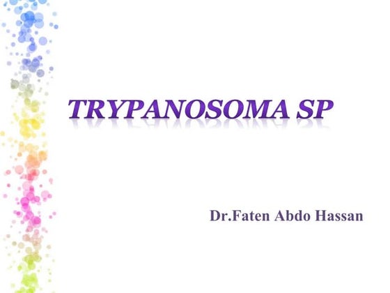 Trypanosoma | PPT