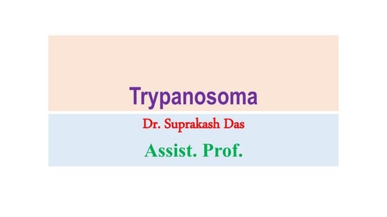 Trypanosoma | PPT