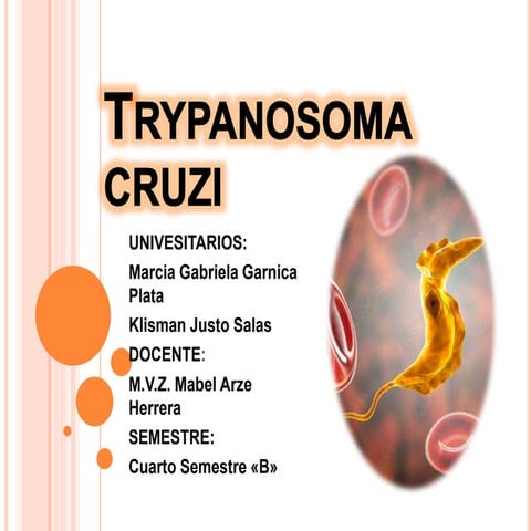 TRYPANOSOMA CRUZI.pptx