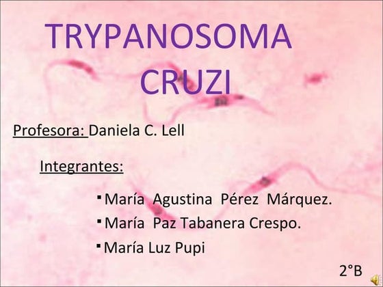 Trypanosoma | PPTX | Infectious Diseases | Diseases and Conditions