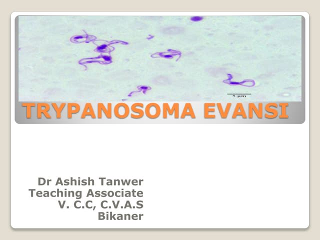 Mastitis in cattle, buffalo | PPT