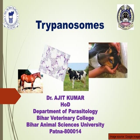 Trypanosomes.pptx