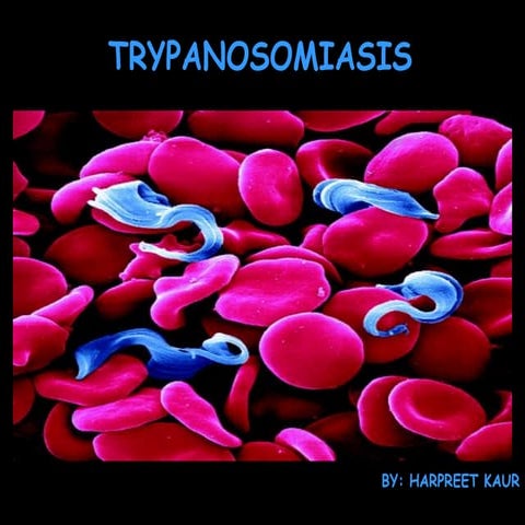 Trypanosomiasis | PDF | Africa Travel | Travel Locations