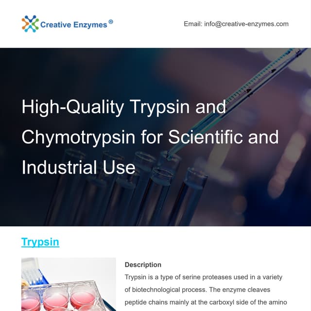 Trypsin and-chymotrypsin-creative-enzymes | PDF