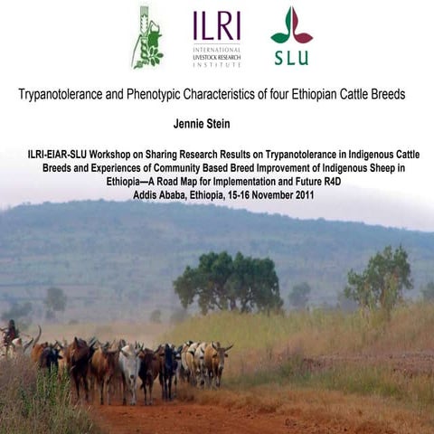 Trypanotolerance and phenotypic characteristics of four Ethiopian ...