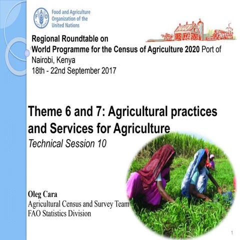 Census Themes 6 and 7 - Agricultural Practices and Services | PPTX