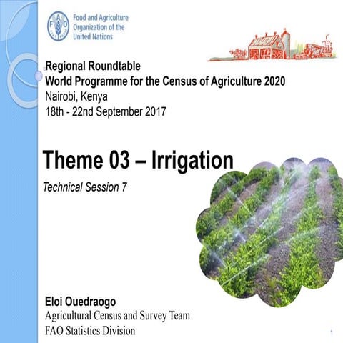 Census Theme 3 - Irrigation | PPTX
