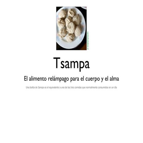 Alimento sampa y mochila de supervivencia | PDF