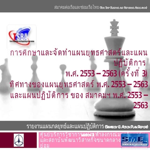 Tsba action plan_20100616_v3 | PPT