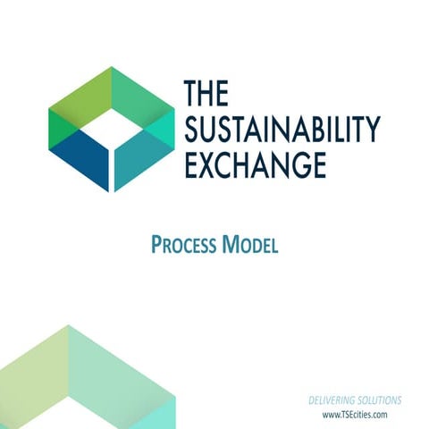 TSE Process Model | PPT