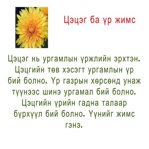 Tsetseg | ODP