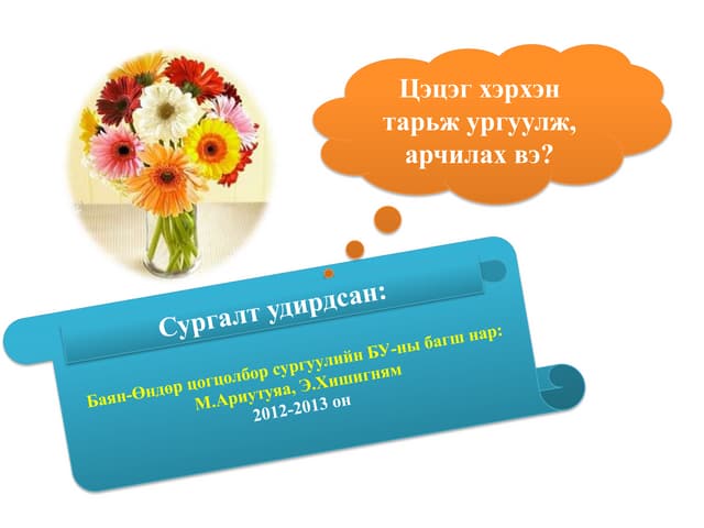 ЦЭЦГИЙН ТАЛААРХ СУДАЛГАА | PPTX