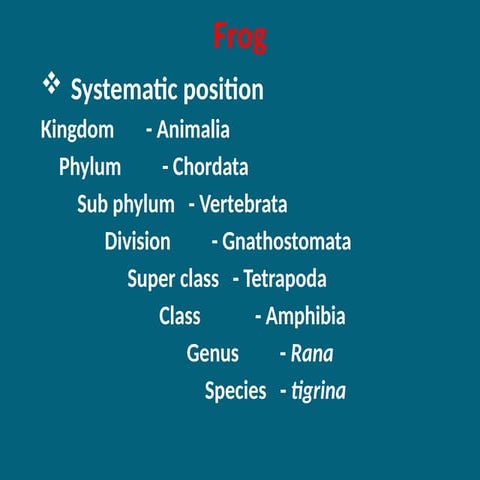 Zoology(External Features of the Frog & Buccal Cavity) | PPTX