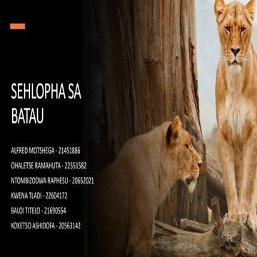 Final AFT presentation [1452].pptx