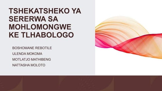 AFT 220 Baanegwa tšhwantšho ya baanegwa, ka Tikologo: Podilane Mankga .pptx