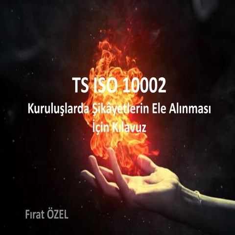 ISO 10002 | PDF