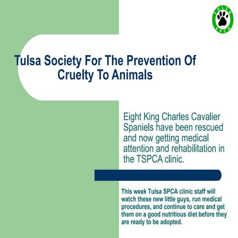 Tspca rescue | PPT