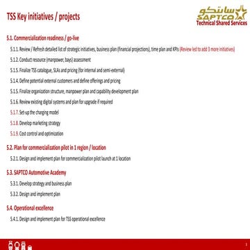 TSS Strategy.pptx