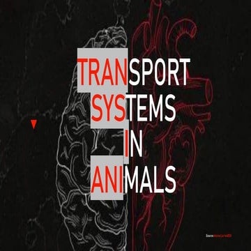 Lecture_Unit1_ Transport systems in Animals complete.pptx