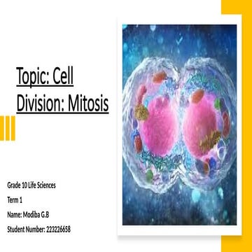 Life Sciences: Mitosis. Presentation TST3B | PPTX