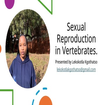 Sexual reproduction in vertebrates | PPTX