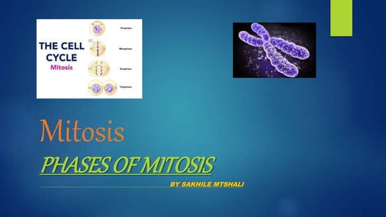 MITOSIS: LIFE SCIENCES FOR GRADE 10`S | PPTX | Biological Sciences ...