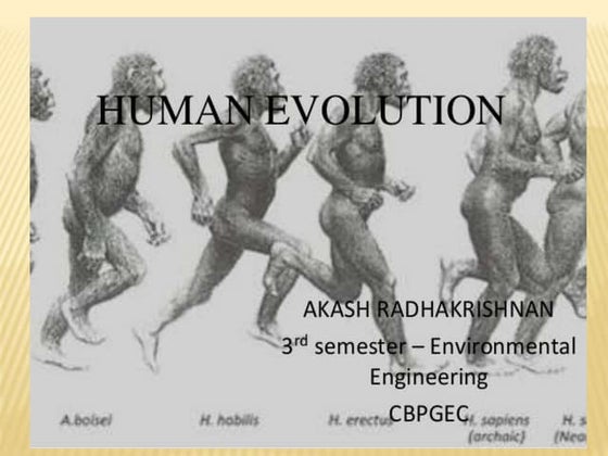 Evolution of man | PPT