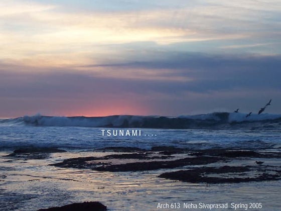 project on Tsunami | DOCX