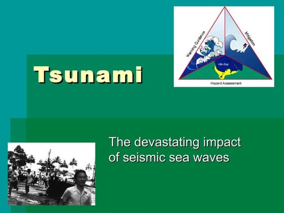 project on Tsunami | DOCX