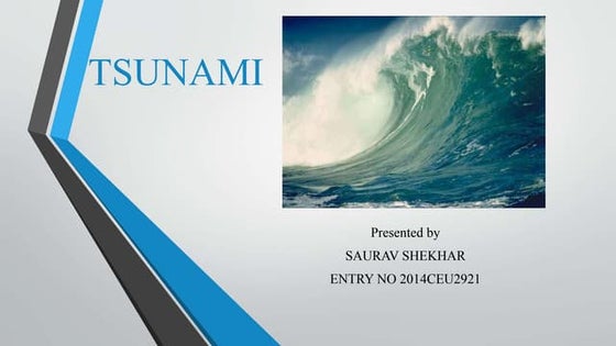 project on Tsunami | DOCX