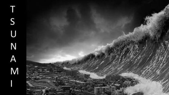 project on Tsunami | DOCX