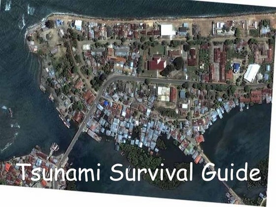 Before And After Tsunami Shots | PPT