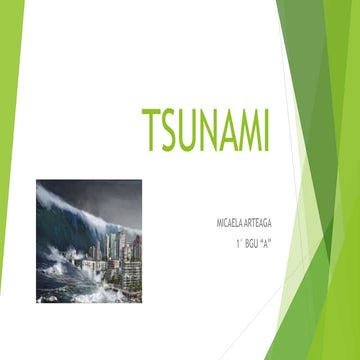 Presentacion De Tsunami | PPT