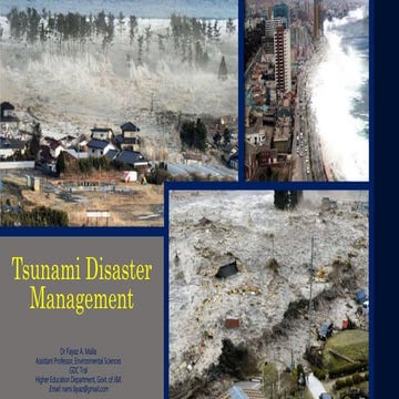 project on Tsunami | DOCX
