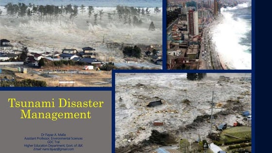 project on Tsunami | PDF