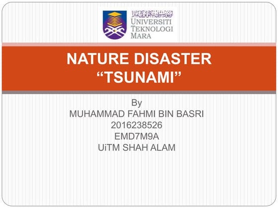 project on Tsunami | DOCX