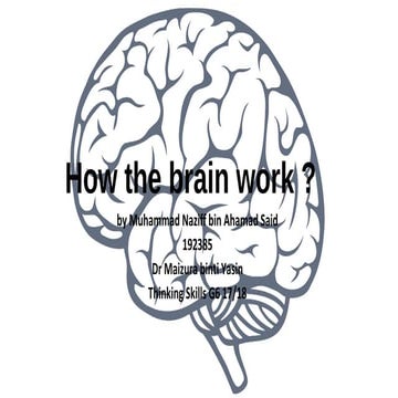 HOW THE BRAIN WORKS? | PPT