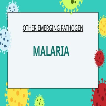 Non transfusion dependent thalassemia TEMPLATE 1.pptx