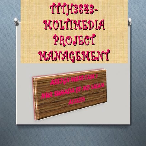 Ttth3843 multimedia project management | PPT