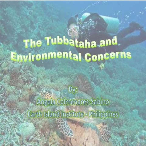 The Tubbataha & Environmental Concerns | PPTX