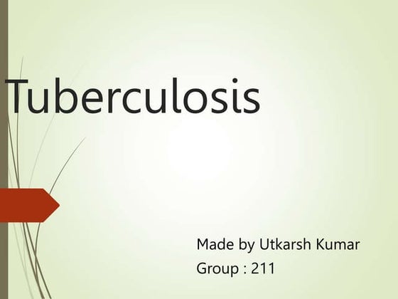 IEC_Tuberculosis Prevention and Control Porgram | PPT