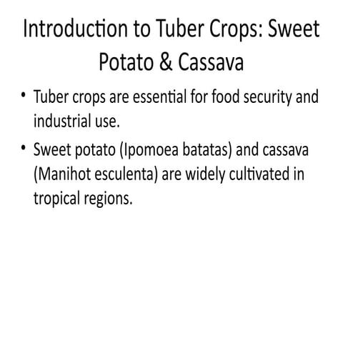 Tuber_Crops Sweet_Potato_---Cassava.pptx