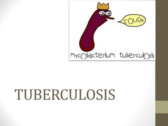 Tuberculosis slide : 2024/2025 PowerPoint | PPT