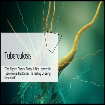 Tuberculosis | PPT