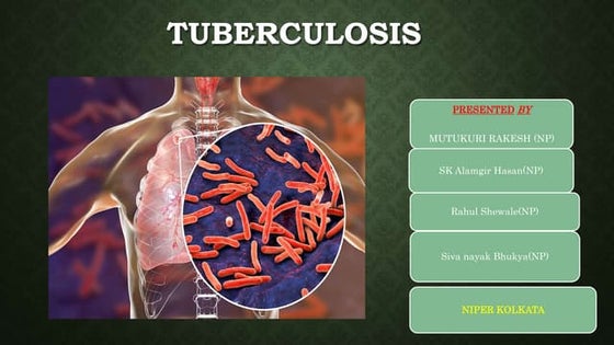 Tuberculosis slide : 2024/2025 PowerPoint | PPT