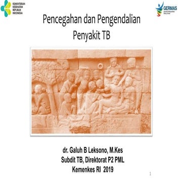 Tuberculosis 2019 ns 14 new 1 | PPT